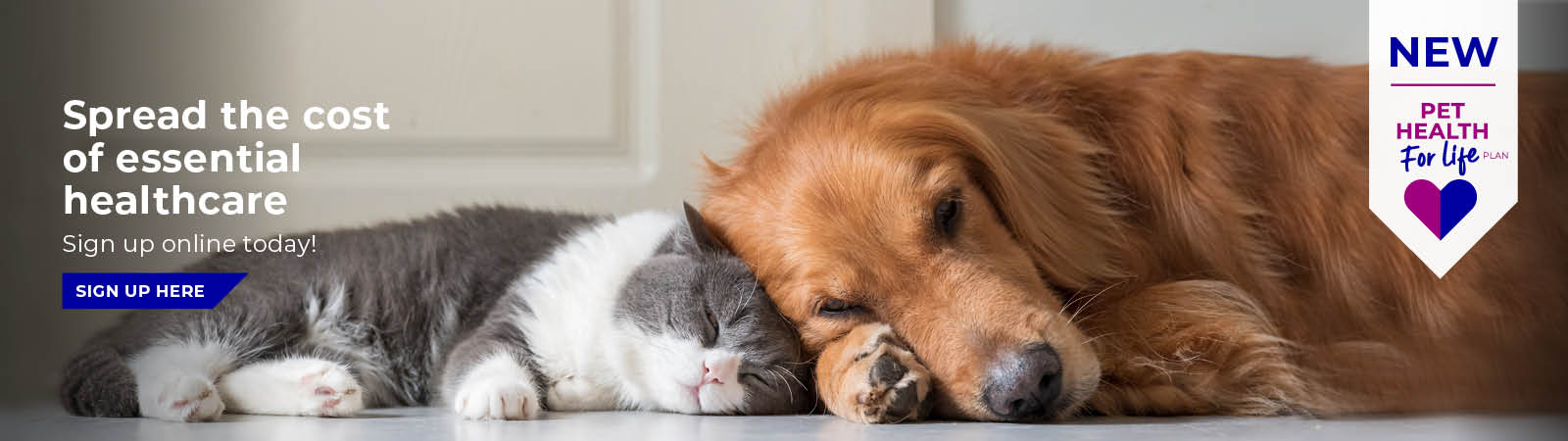 Swindon Vets | Marlborough Vets | Vets Near Me | Eastcott Vets